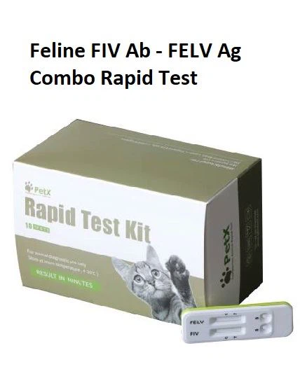 What does a negative Toxoplasma Antibody Test result mean? - Blog